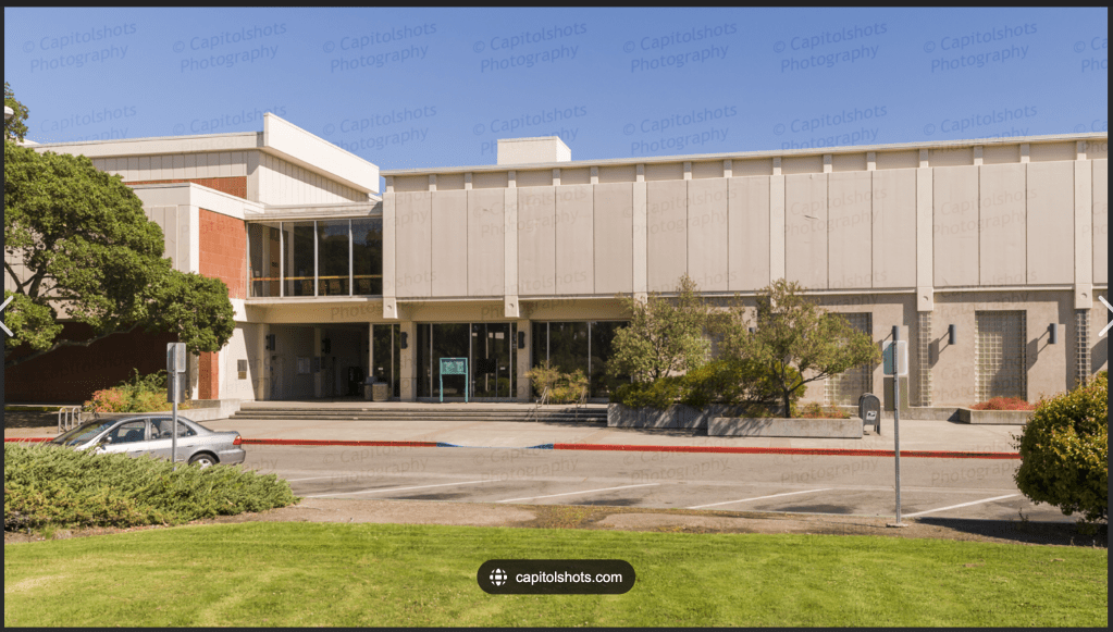 Down at the Courthouse, Part 3 – Timmy Tae's Thoughts